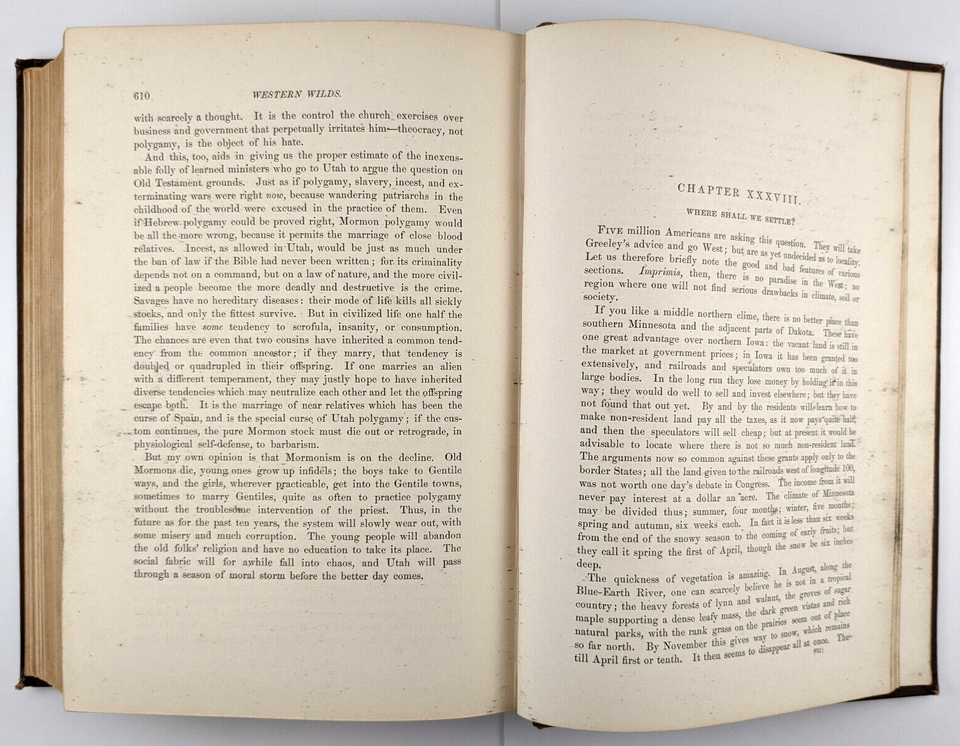 Western Wilds And The Men Who Redeem Them J H Beadle First Edition 1877 ...