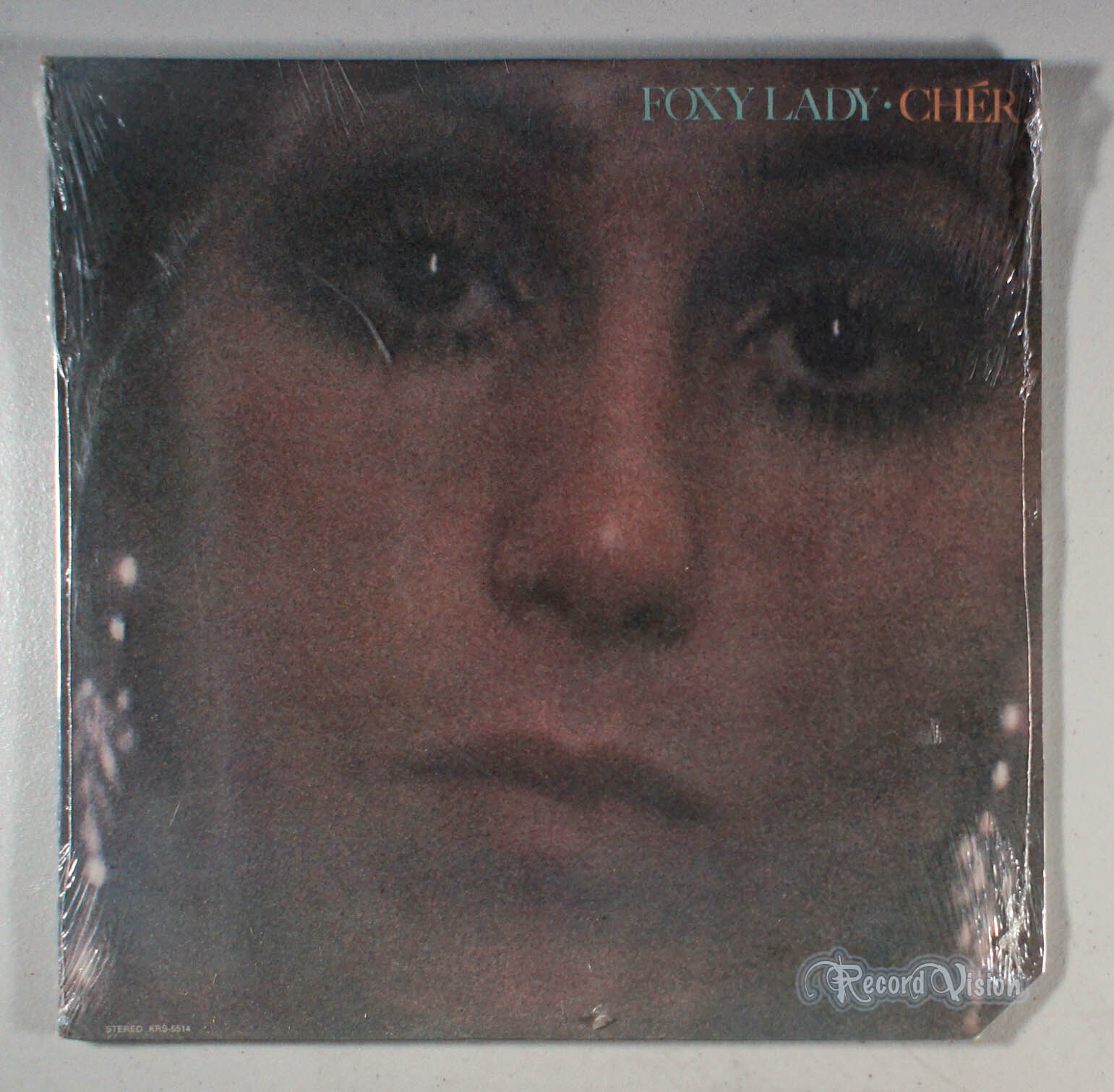 Cher - Foxy Lady (1972) [SEALED] Vinyl LP • Living in a House Divided ...