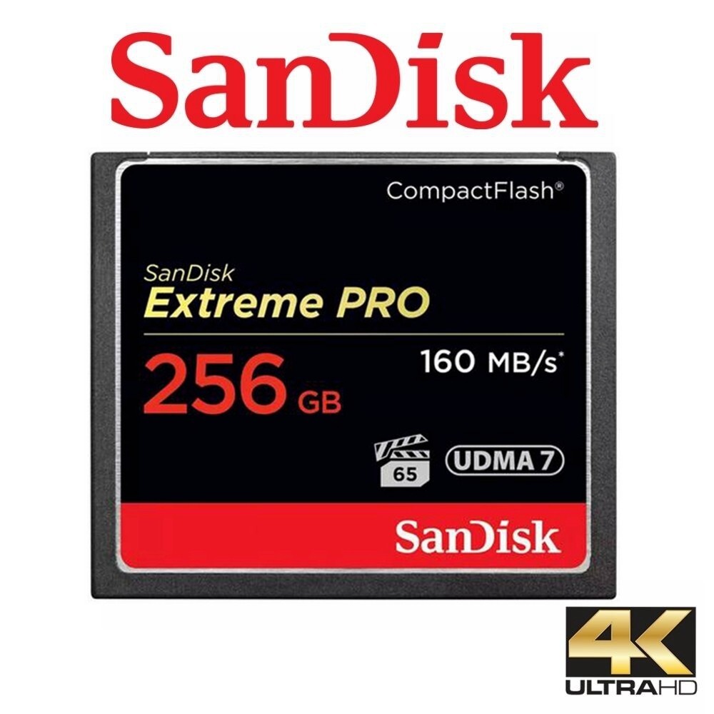 SanDisk Extreme Pro 256GB CF Card Compact Flash 160MB/s Camera DSLR ...