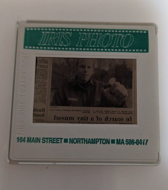 22 Vintage slides various newspaper clippings photos Mill River MA ...