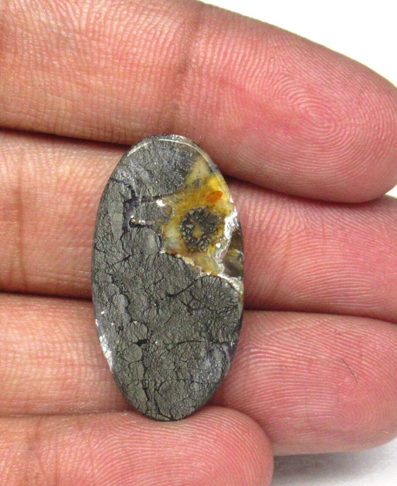 Marcasite Cabochon Oval Shape 27.40 ct Natural Loose Gemstone H 7205 | eBay