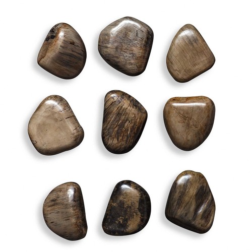 Uttermost 04323 Pebbles - Wood Wall Decor (Set of 9)-5 Inches Tall and ...