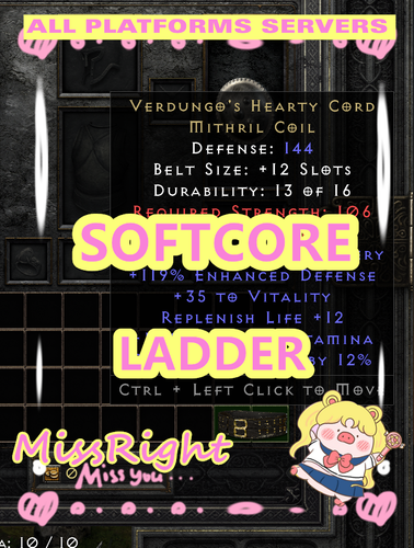 Verdungo's Hearty Cord Belt🌺Diablo 2 D2R Softcore LADDER🌺PC-SWITCH-PS ...