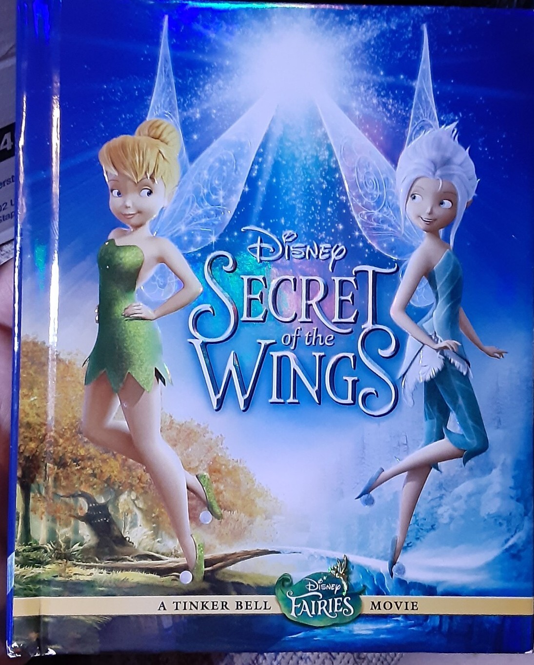Tinkerbell Secret Of The Wings Poster