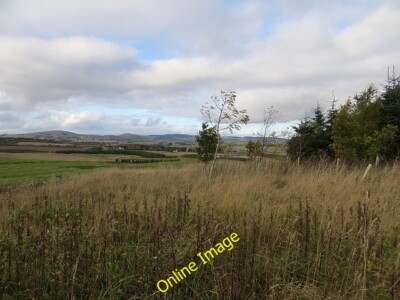 Photo 6x4 New woodland, Cleish Mains A strip has been planted beside ...