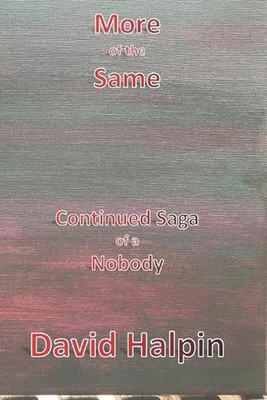 More of the Same: Continued Saga of a Nobody by David Bruce Halpin (English) Pap | eBay