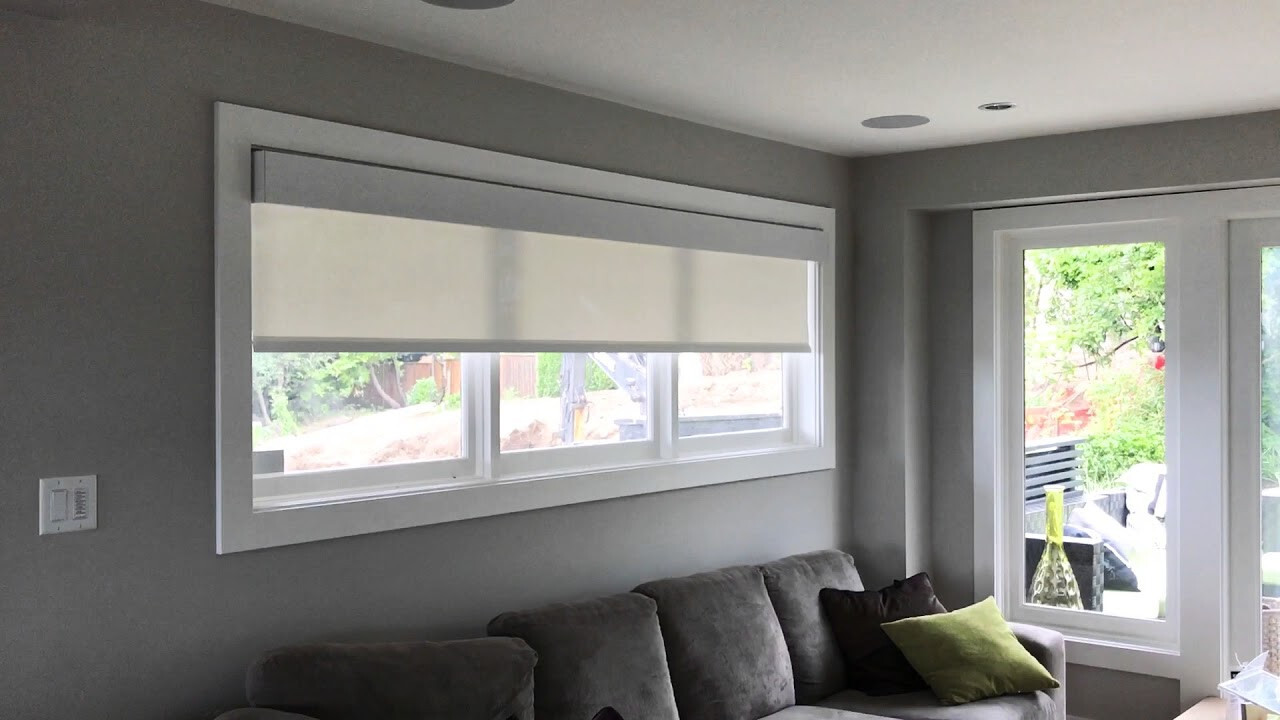 Lutron Sivoia Triathlon Wired Shade - 44.5 x 86 | eBay