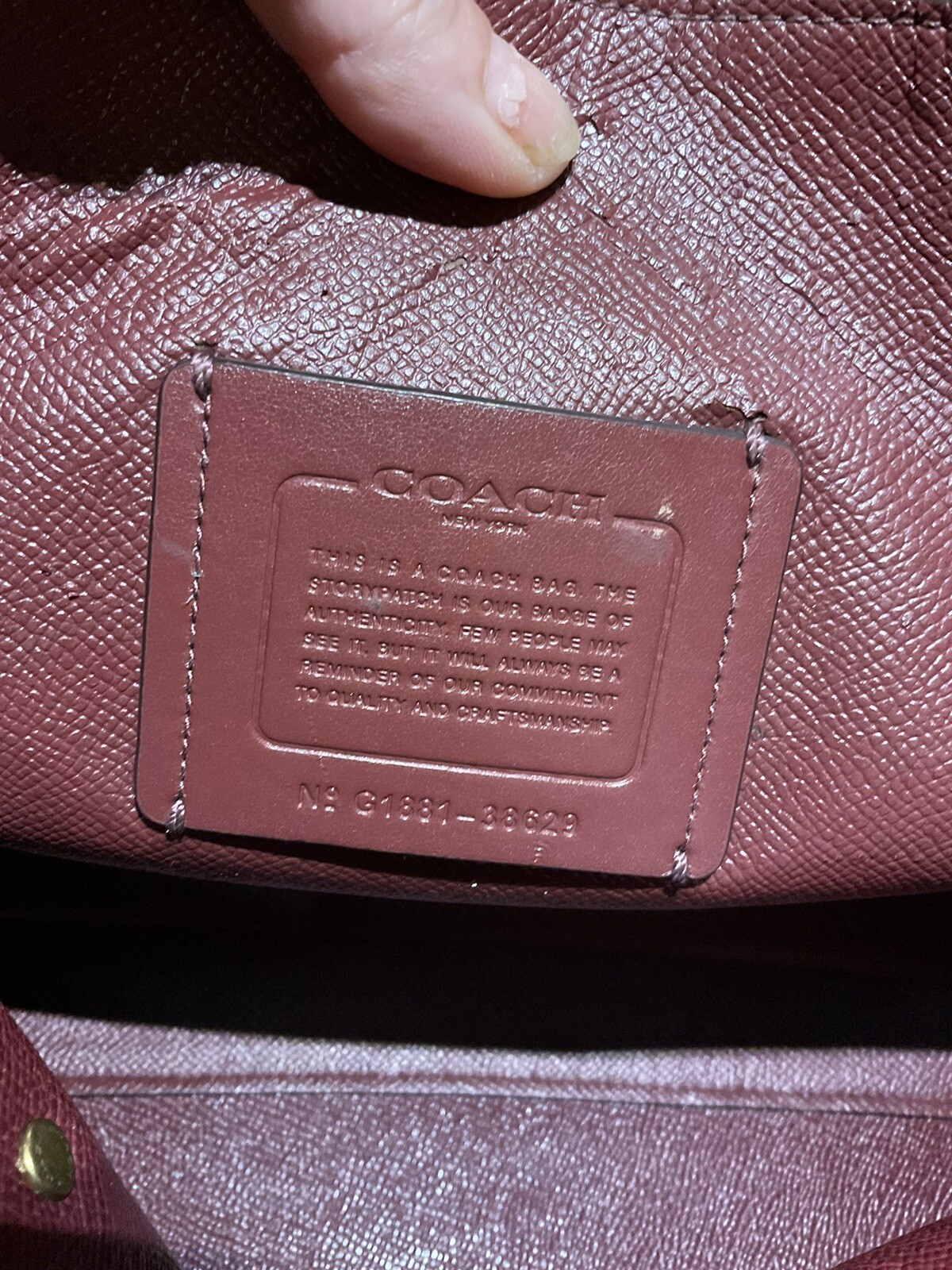 Coach Charlie Crystal Rivets & Accordion Wallet NUDE … - Gem