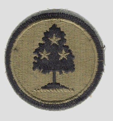 Army Patch: Tennessee National Guard Headquarters - subdued, cut edge ...