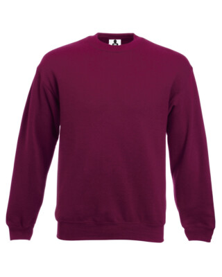 Plain Adults SWEATSHIRT Mens Sweatshirt Womens New Spirit Jumper New ...