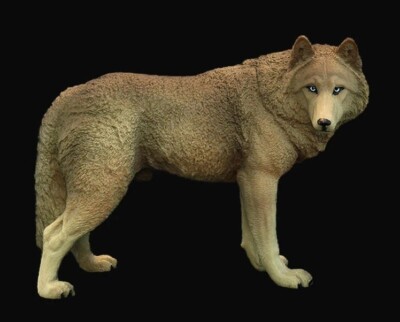 Wolf Animal Toy PVC Action Figure Doll Kids Toys Party Gifts | eBay