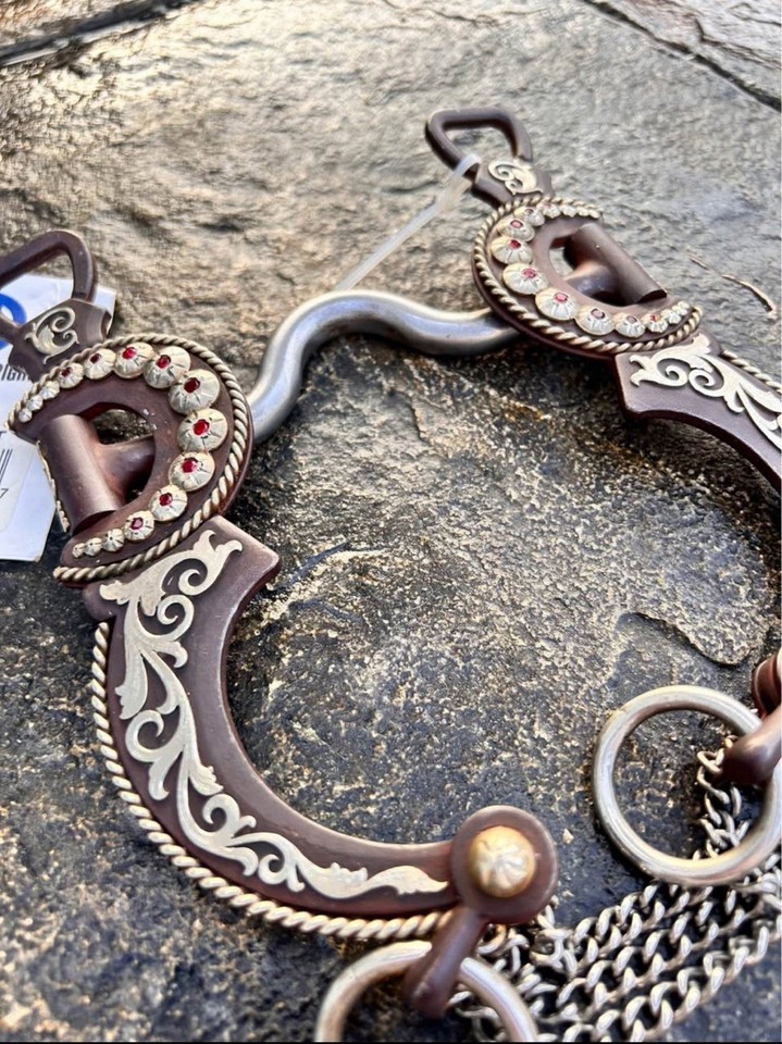 BEAUTIFUL GREG DARNALL ORIGINALS WESTERN HORSE SILVER SHOW BIT | eBay