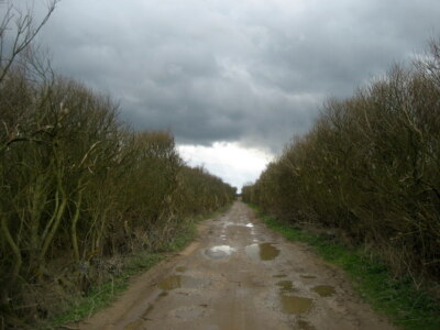 Photo 6x4 Vehicular Access Track from the Beach at Horsey Horsey Corner ...
