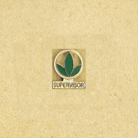 HERBALIFE SUPERVISOR Vintage Lapel Pin Badge PIN | eBay