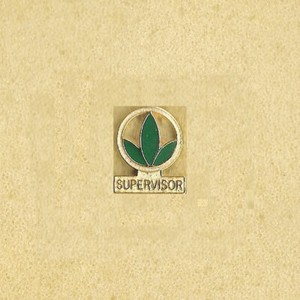 HERBALIFE SUPERVISOR Vintage Lapel Pin Badge PIN | eBay