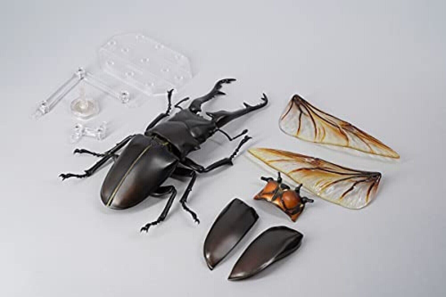KAIYODO REVO GEO Prosopocoilus Giraffa RG007 Sawtooth Insect Moving ...