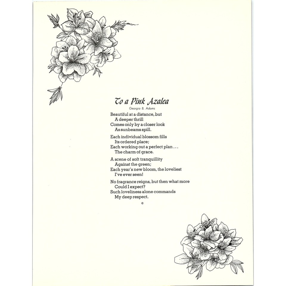 To A Pink Azalea Georgia B. Adams 1970s Poem Retro Kitsch Wall Art SE3 ...