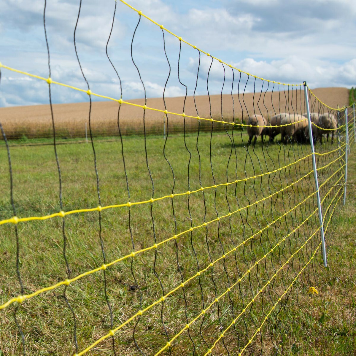 Electrified Netting Fence Electric Fence Poultry Netting, 164ft X