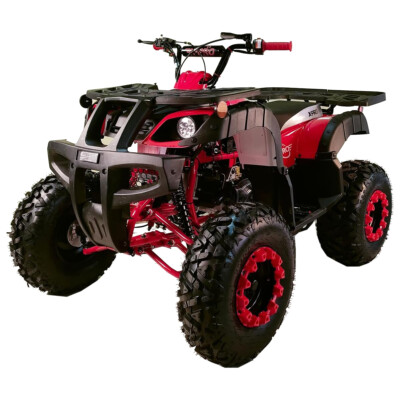 X-PRO Cougar 200cc Utility ATV Quad 4 Wheeler with Auto Transmission ...