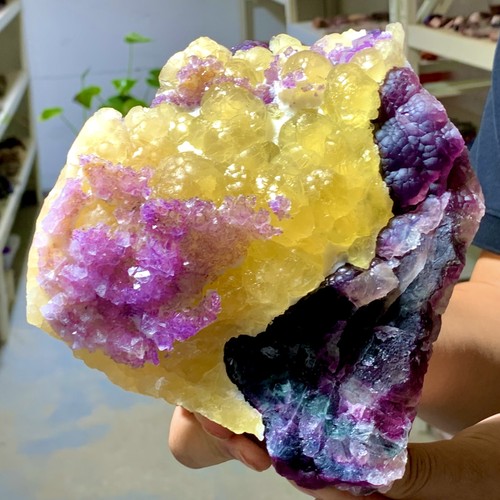 3.07LB Rare yellow purple cubic fluorite mineral crystal sample ...