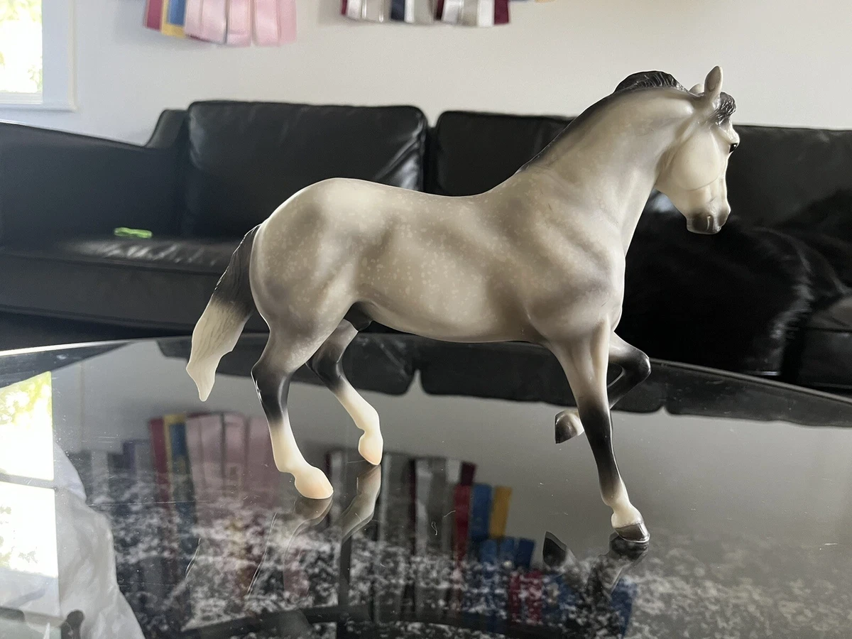 Dapple Grey Quarter Horse