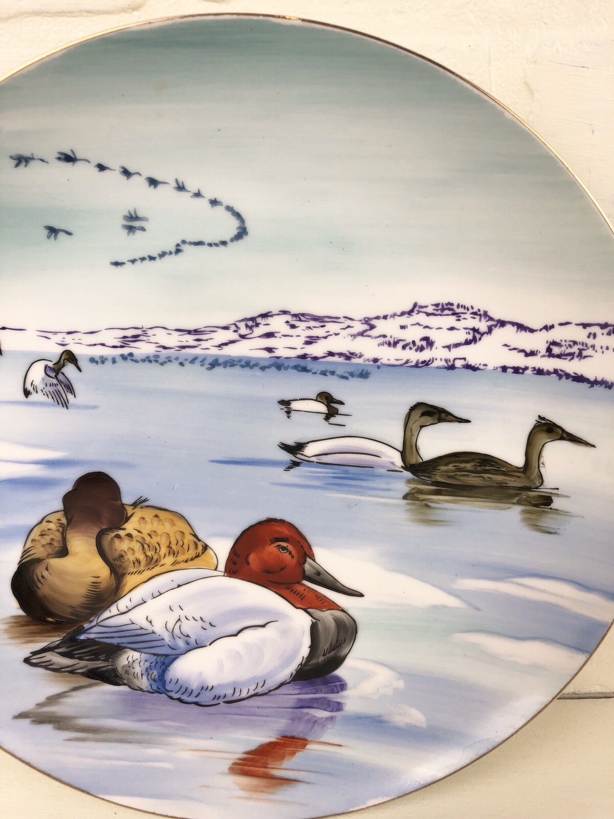 Redhead Ducks Loons Geese Mallards Decorative Plate Painted Plate | eBay