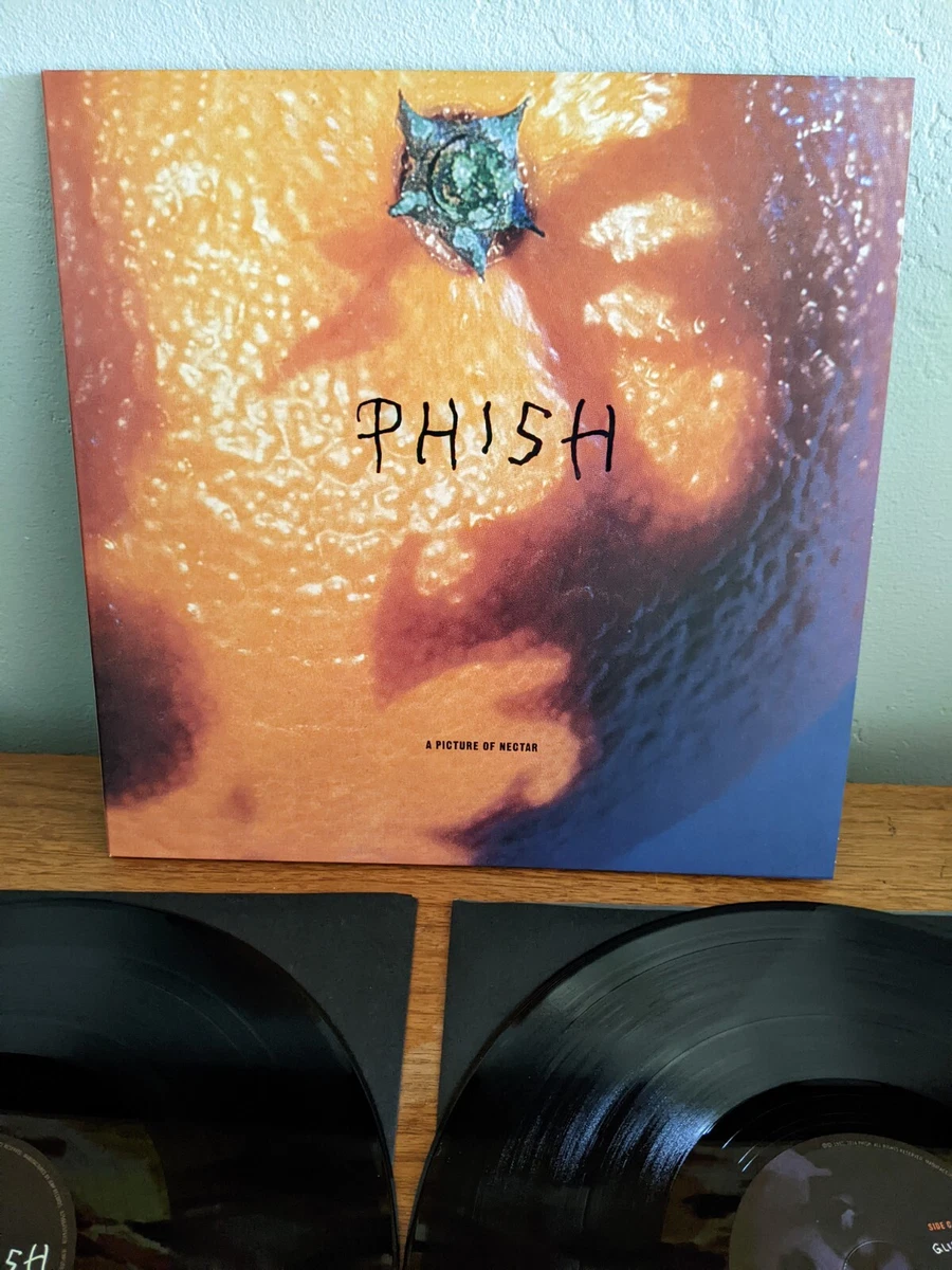 A Picture Of Nectar Phish