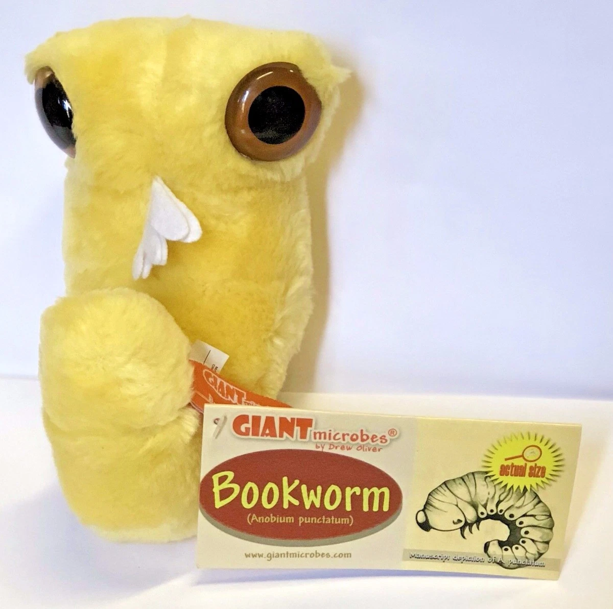 Actual Bookworm