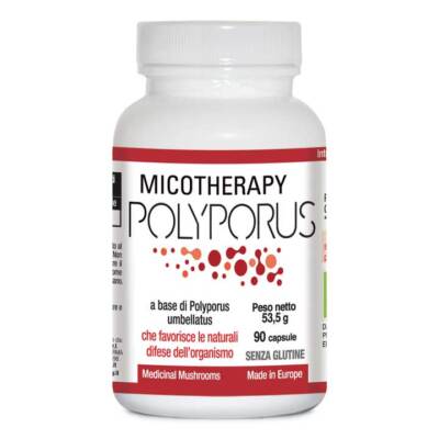 Micotherapy Polyporus AVD Reform 90 Capsules | eBay