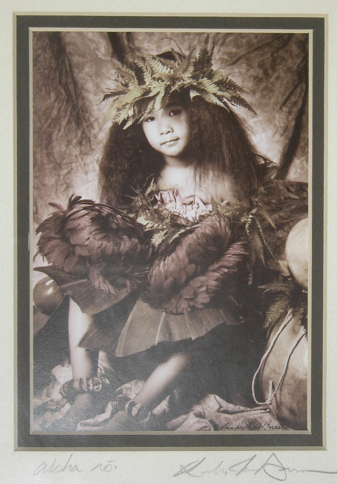 Signed Randy Jay Braun Hawaiian Heirloom Portrait Lithograph (Framed) | eBay