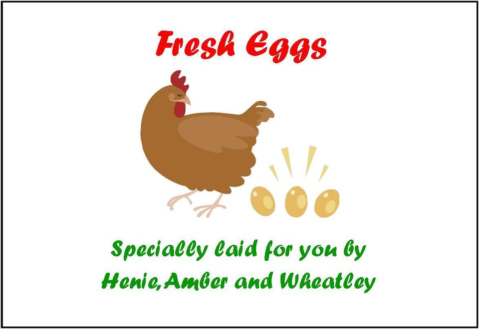 LARGE PERSONALISED CHICKEN HEN EGG BOX LABELS 8 Per Sheet | eBay UK