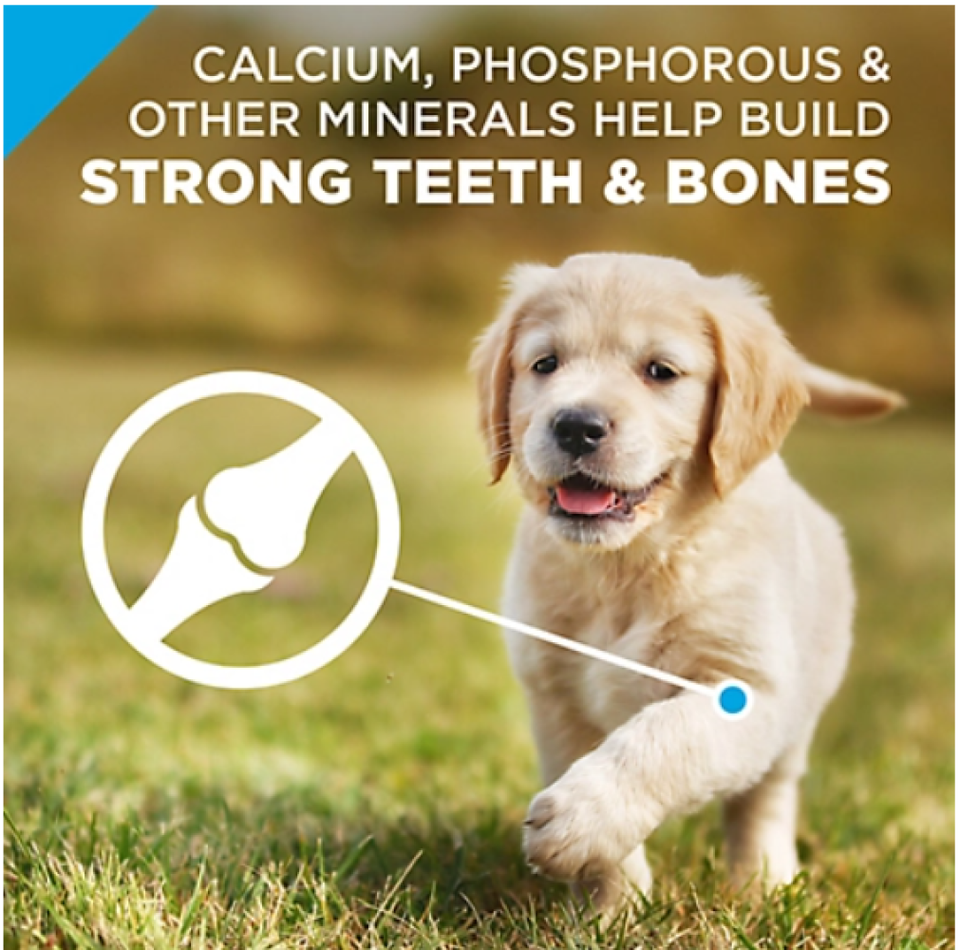 Purina Pro Plan 038100132741 Focus Puppy Lamb & Rice Recipe Dry Dog ...