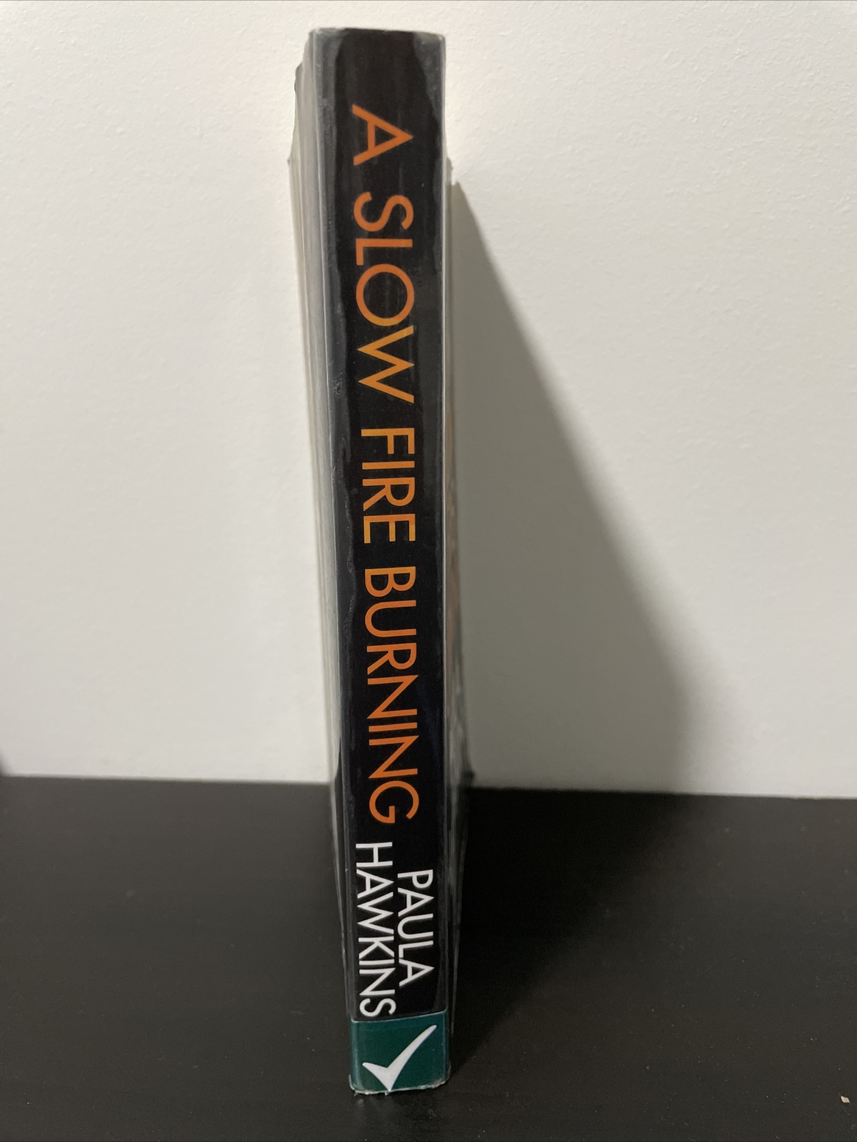 A+Slow+Fire+Burning%3A+The+addictive+new+Sunday+Times+No.1+bestseller ...