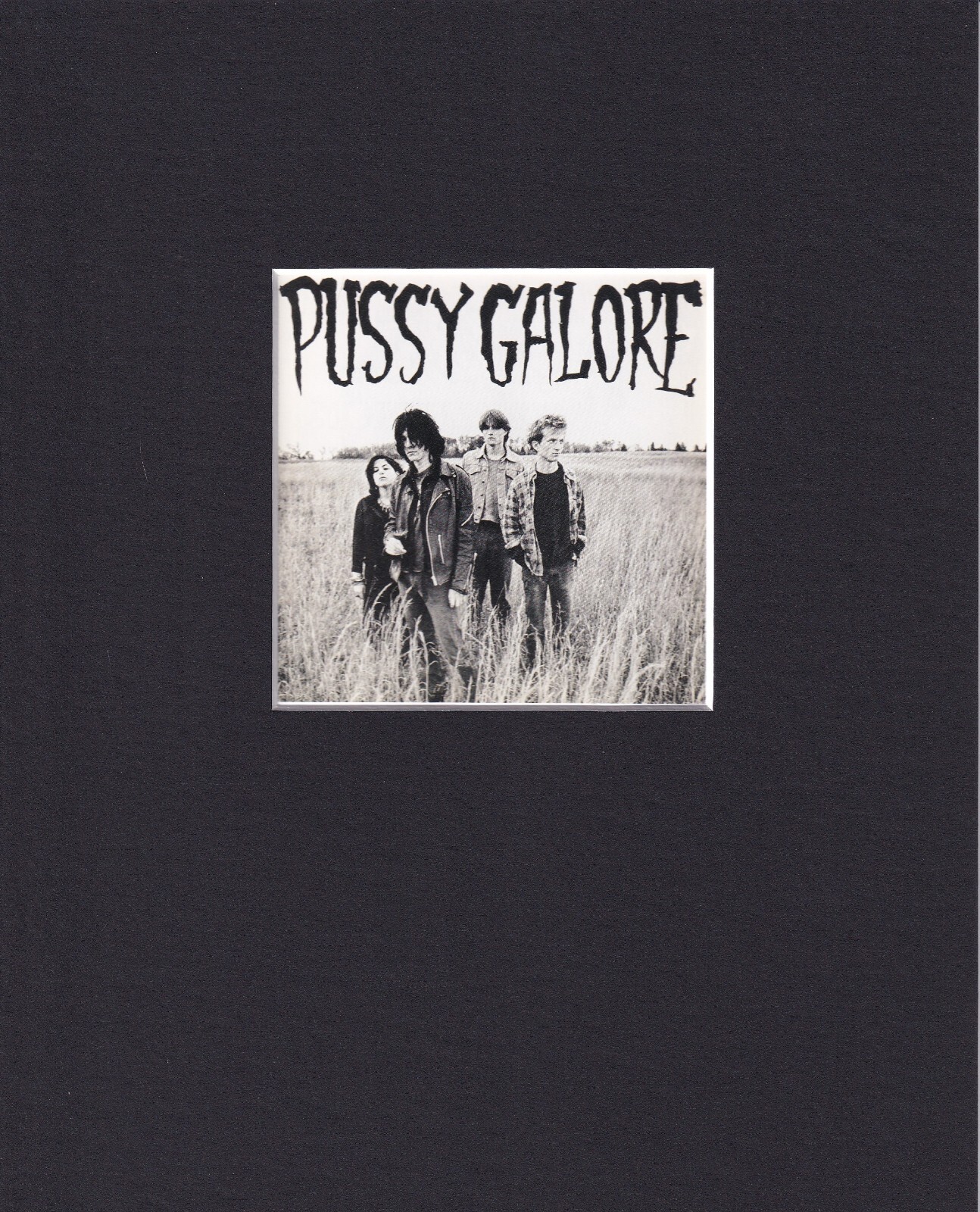 8X10" Matted Print Album Cover Art Picture: Pussy Galore, Groovy Hate F ...