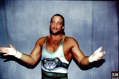 ROB VAN DAM 8x10 ECW COLOR PHOTO ROH ECW NXT WWE AEW IMPACT RVD | eBay