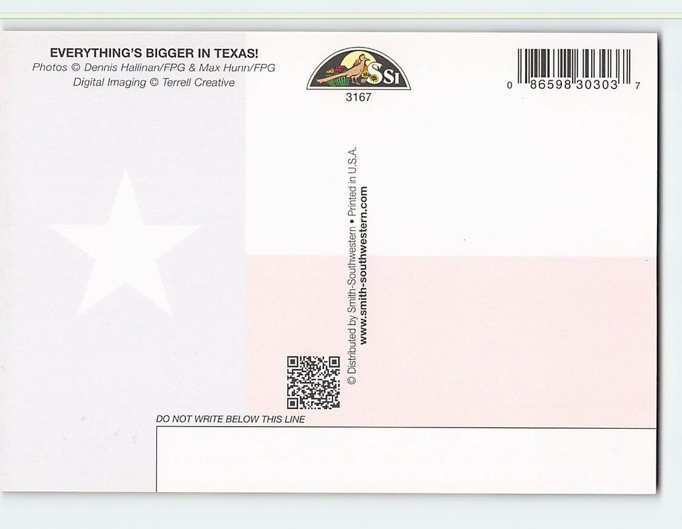 Postcard Everything's Bigger In Texas - Fishing | eBay UK