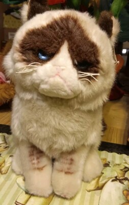 Gund Grumpy Cat 10" Plush Kitty Himalayan Cat | eBay