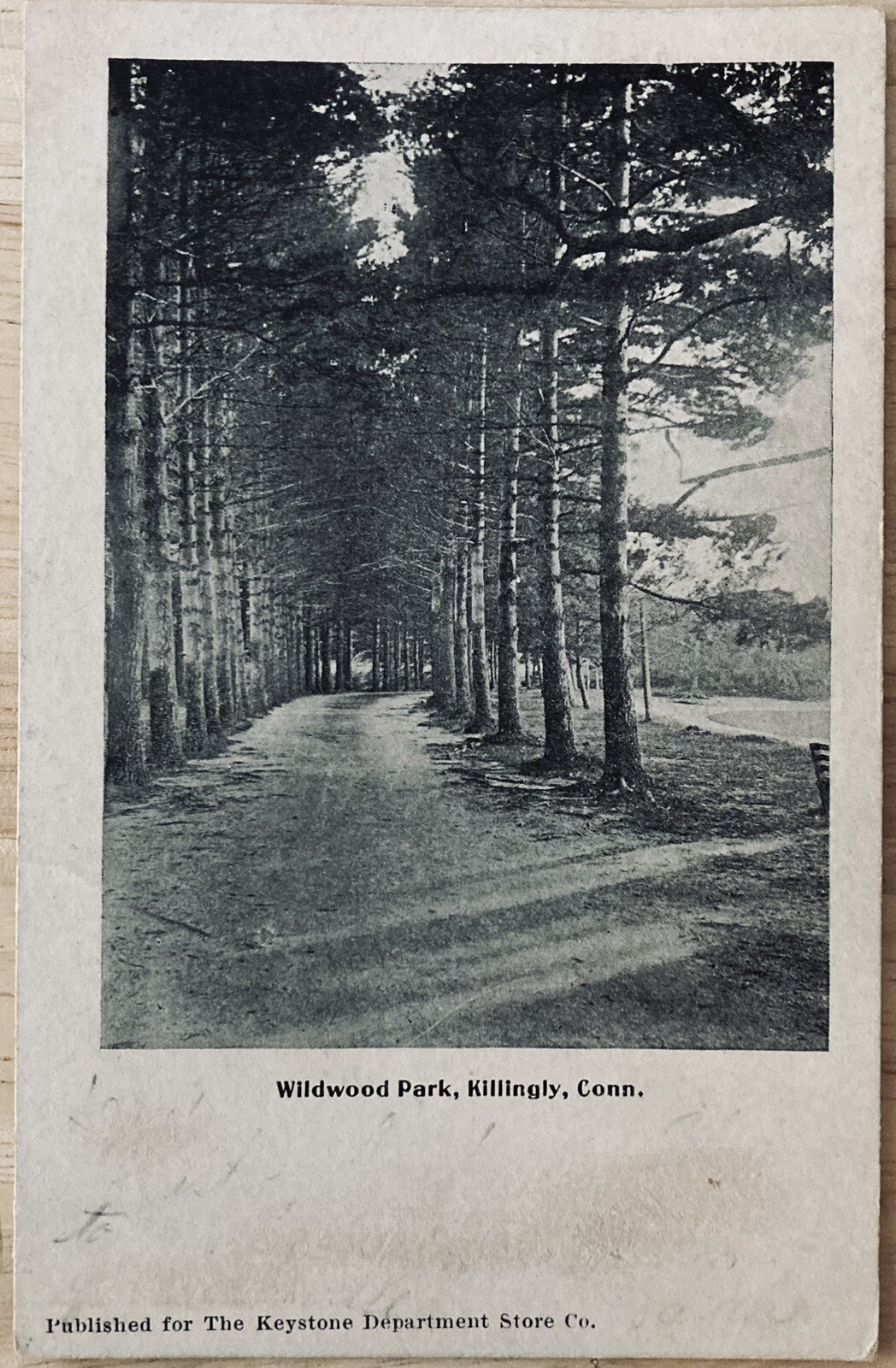KILLINGLY, CONN. C. 1905 PC. (A56)~VIEW OF TREE LINED WILDWOOD PARK | eBay