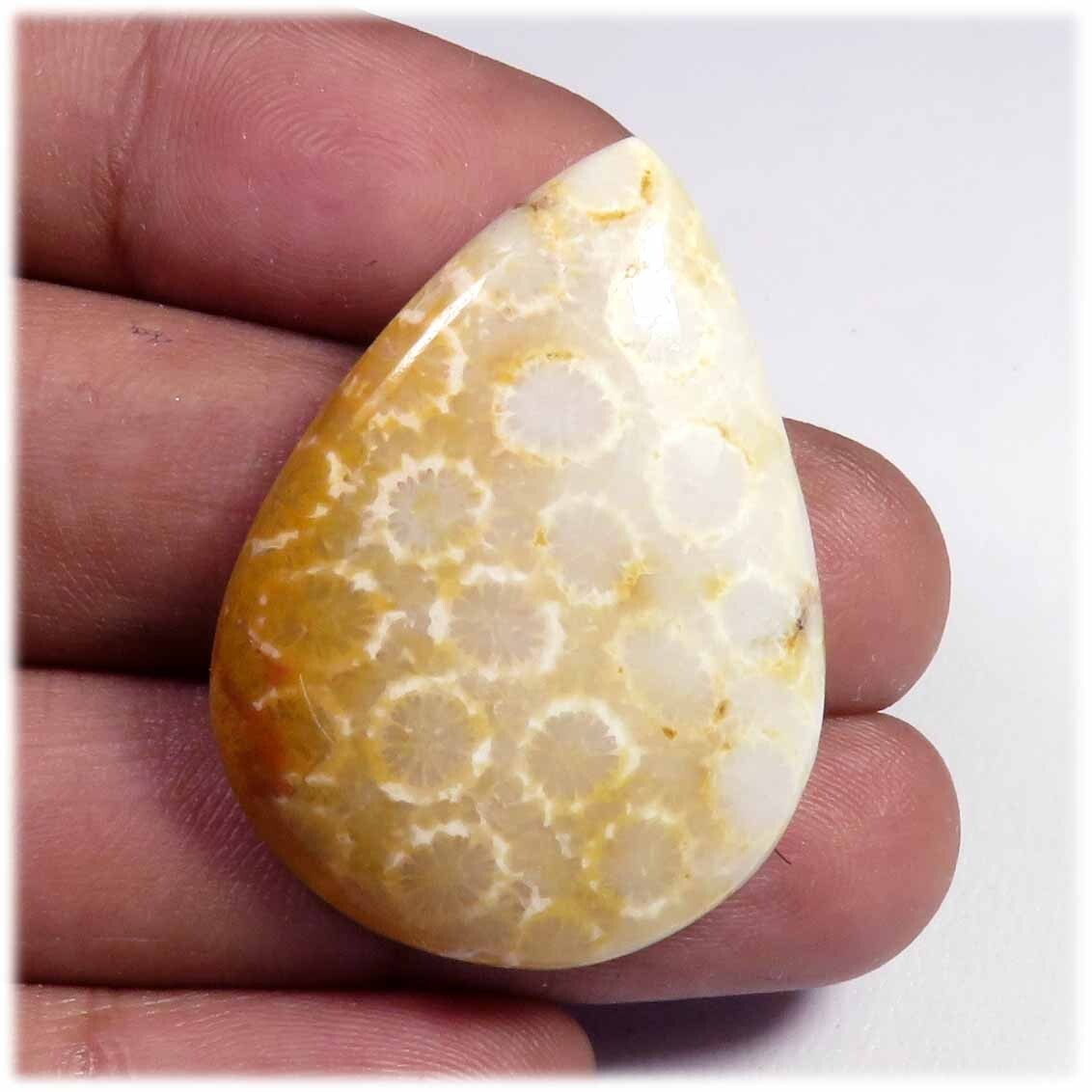 Natural Yellow Coral Fossil Gemstone 34x24 mm Fossilized Pear Shape ...