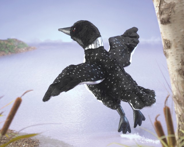 Folkmanis 3071 Loon Toy for sale online | eBay