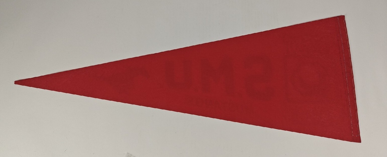 Vintage 1983 Southern Methodist SMU Mustangs Cotton Bowl 30" Pennant ...