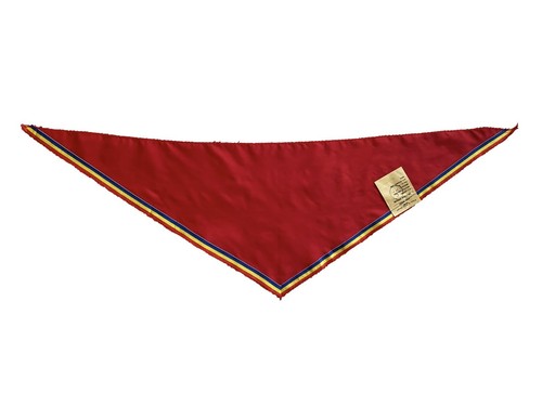 Romania Red Scarf Pioneer Boy Scout Communist Soviet Banner 1980's ...