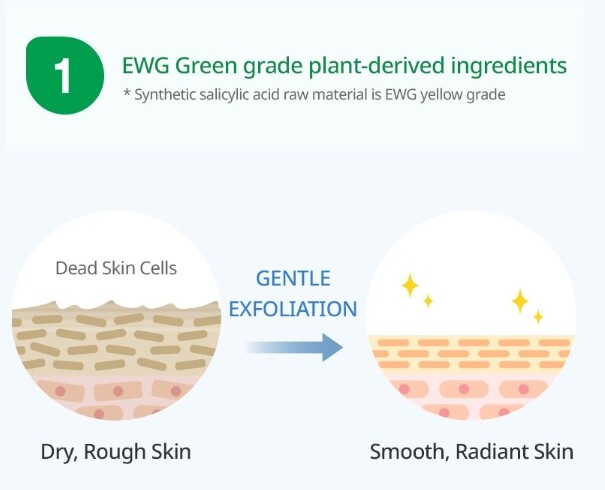 ATOMY Absolute Snow Night Cream 40ml All Day Brightening Skincare Serum ...