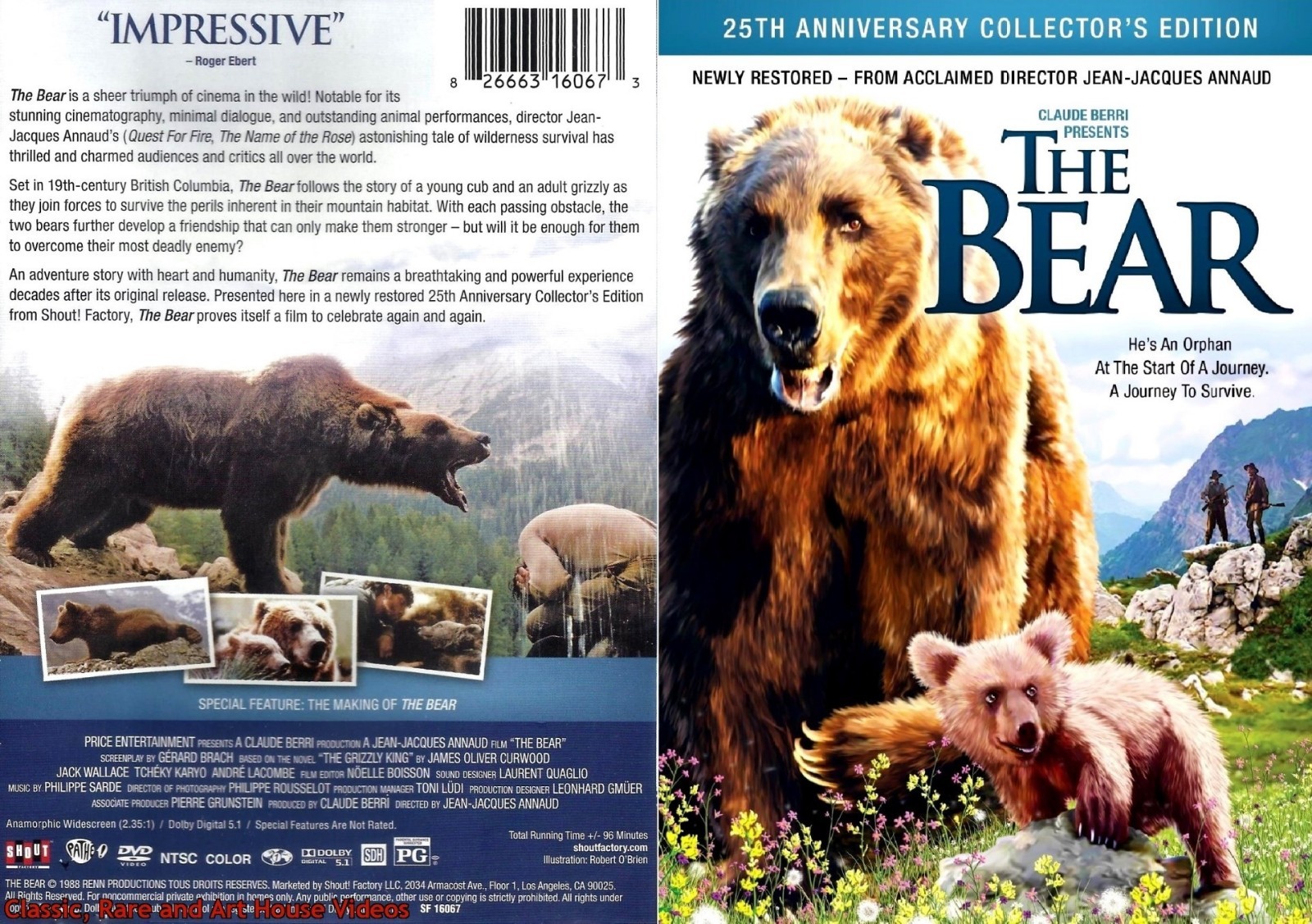 The Bear ~ DVD Collector's Edition ~ Jack Wallace (1988) 826663160673| eBay