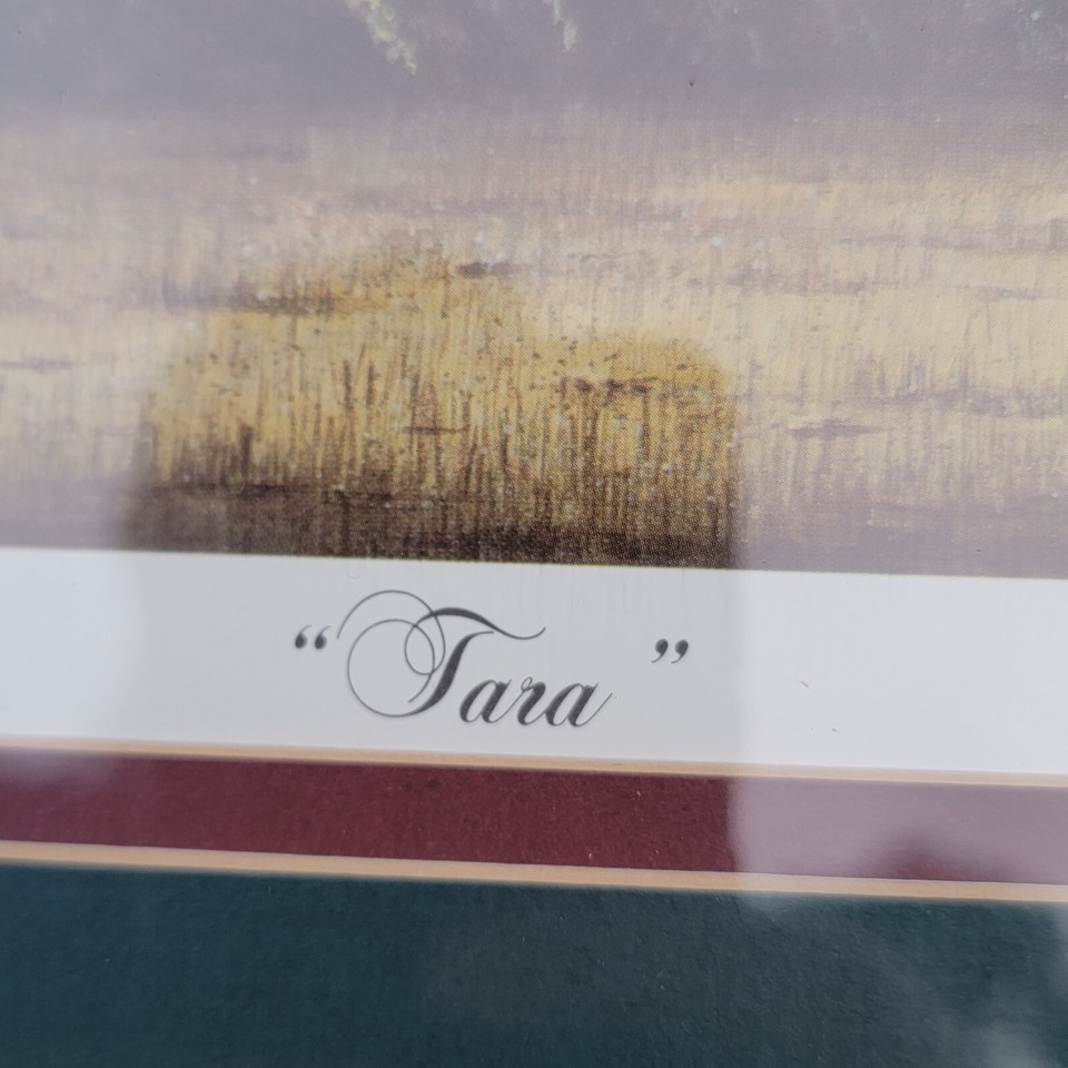 Jim Booth Tara Classic Edition Framed Print Large | eBay