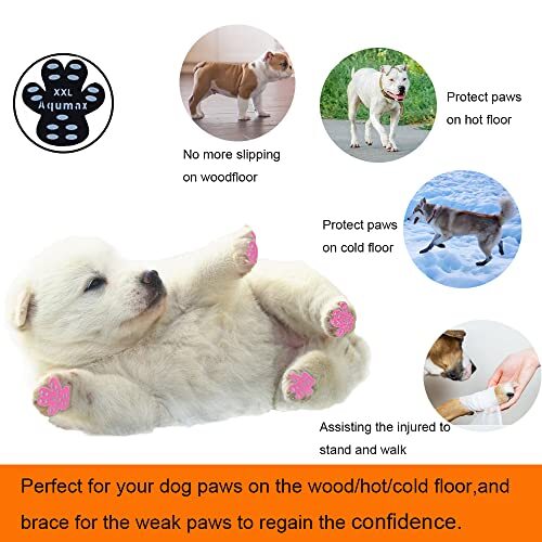 Dog Anti Slip Paw Grips Traction Pads,Paw Protection with Stronger ...