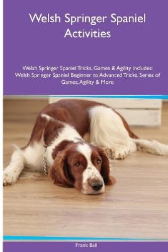 Welsh Springer Spaniel Activities Welsh Springer Spaniel Tricks, Games ...
