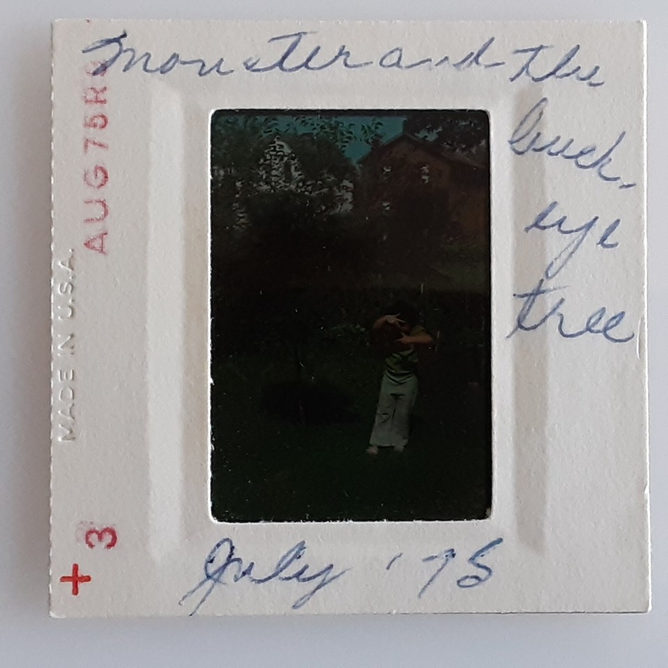 Girl Making Hand Gestures Like Gang Signs by Buckeye Tree: 1970's 35mm ...