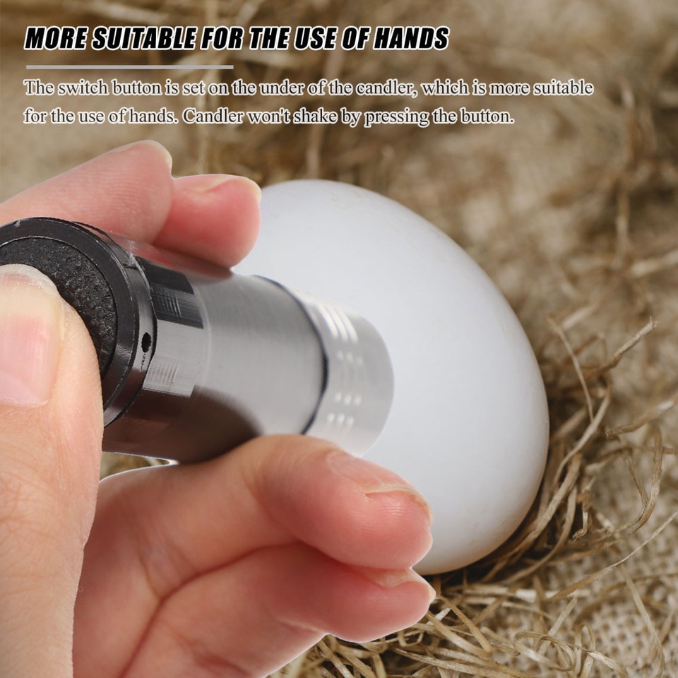 Egg Candler for Chicken Eggs Tester Canister Incubator Incubation | eBay