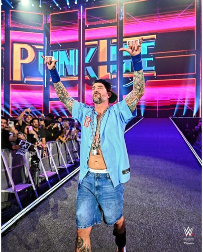 CM Punk WWE Unsigned Punk Life Entrance Photograph | eBay